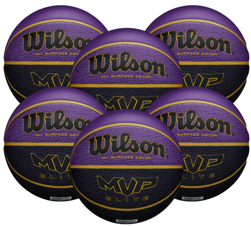 Wilson Club & School Basketball